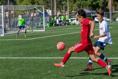 Coerver Summer Camps 2022 - Soccer Club - Colorado Springs